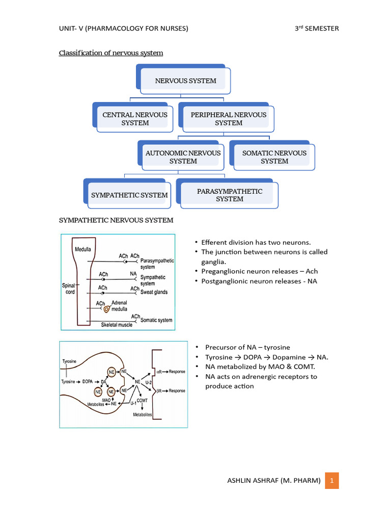 Ans Nursing | PDF | Acetylcholine | Drugs Acting On The Nervous System