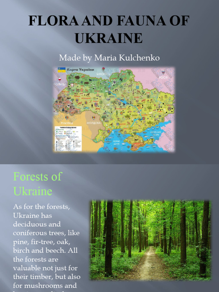 Flora and Fauna of Ukraine | PDF | Ukraine | Deer