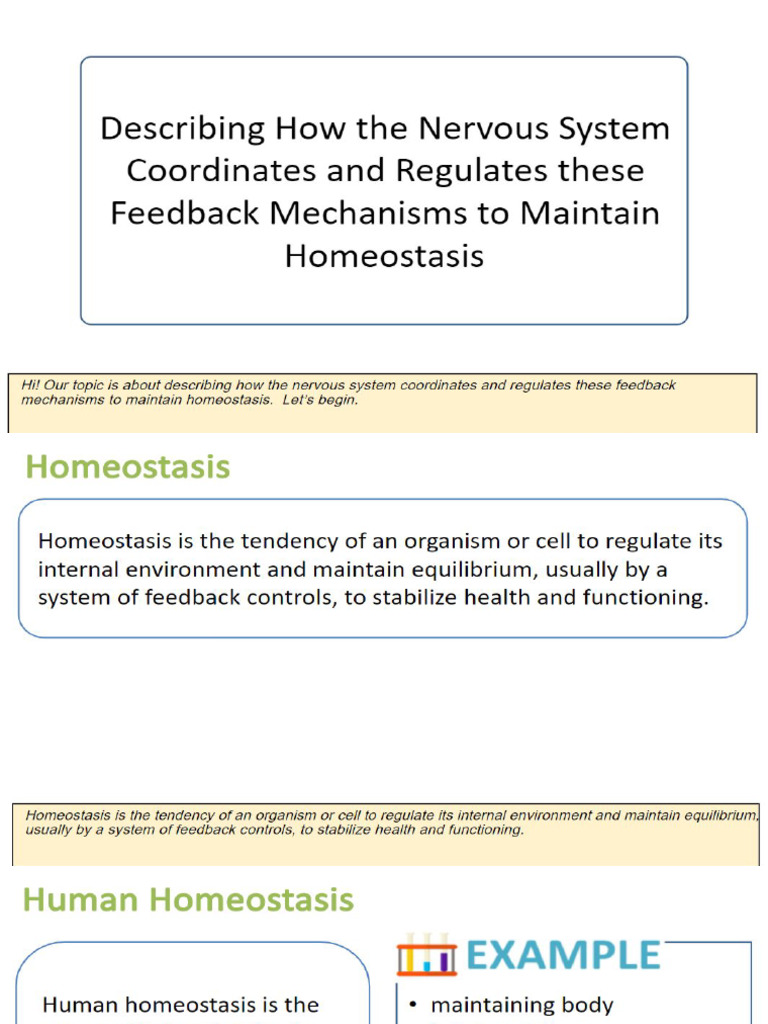 Homeostasis | PDF