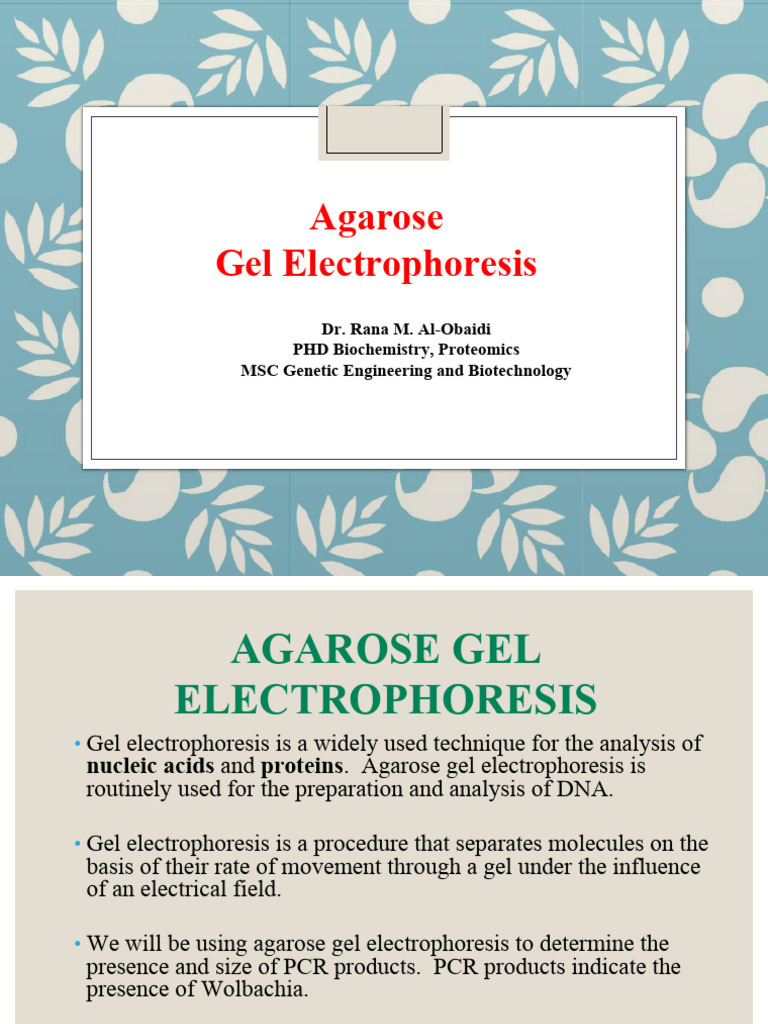 Pr. Agarose Gel Electrophoresis | PDF