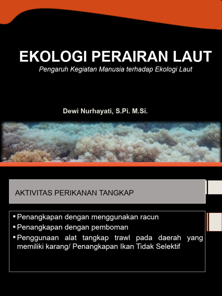 Ekoper Laut 3 | PDF