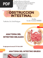 Uropol Forte: Uso y Composición | PDF | Orina | Medicamentos con receta