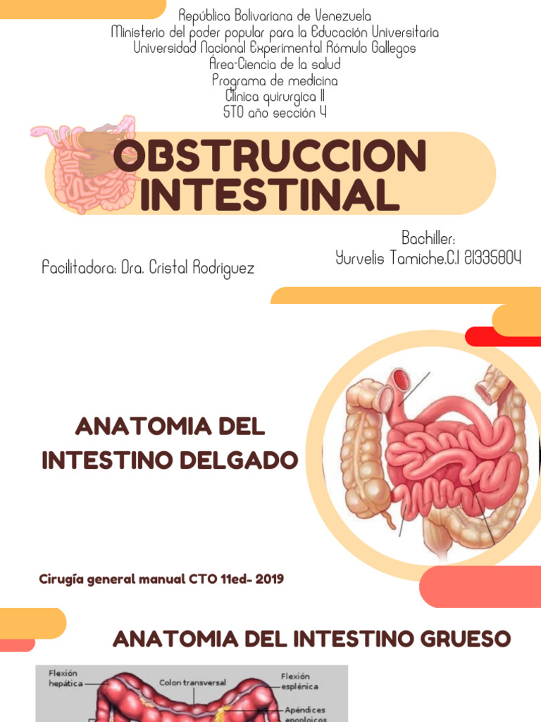 Obstrucción Intestinal: Causas y Diagnóstico | PDF | Especialidades ...