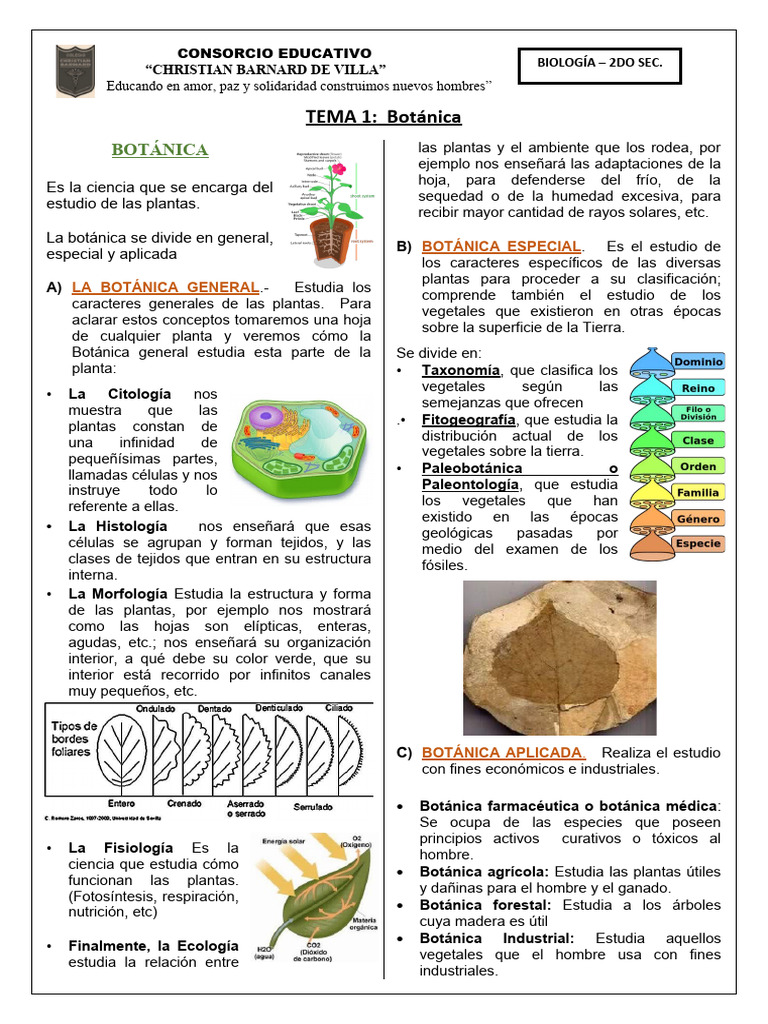 Biologia Botanica | PDF | Botánica | Plantas