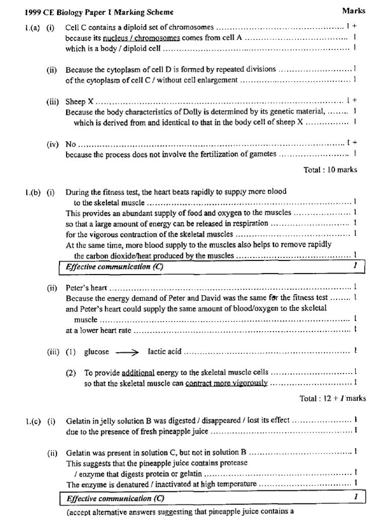 1999 Biology Paper I Marking Scheme | PDF