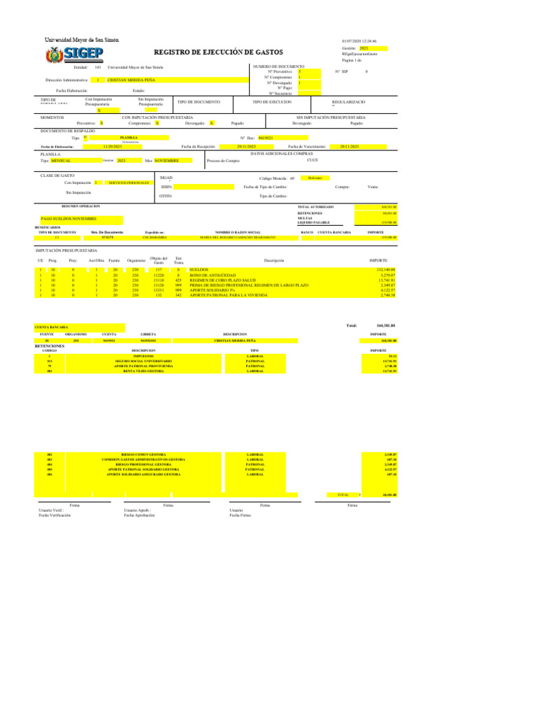 Formato C31 - Cip | PDF