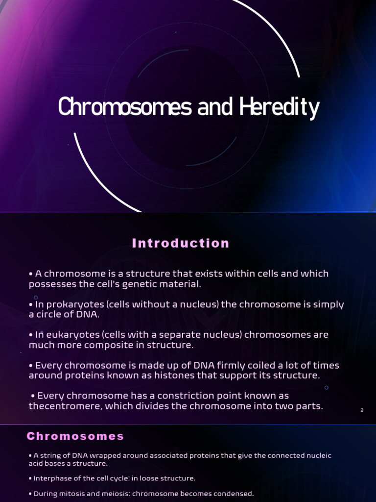 Chromosomes and Heredity | PDF