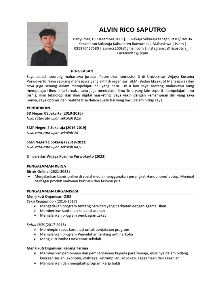 CV Alvin Rico Saputro | PDF
