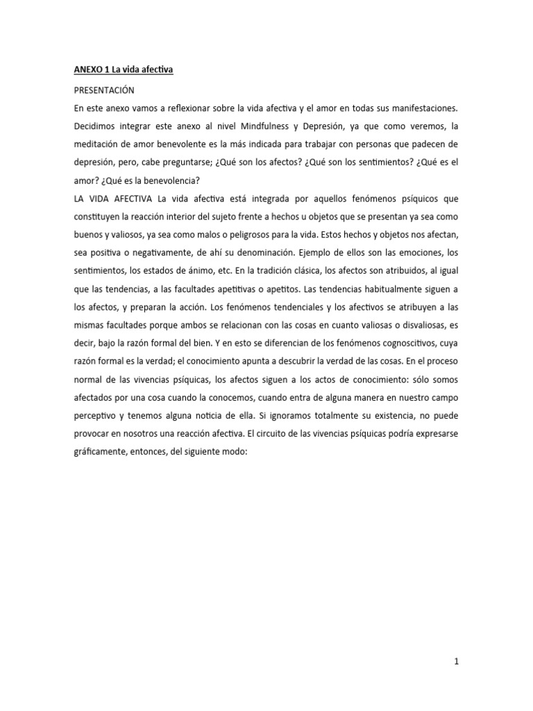 ANEXO 1 La Vida Afectiva | PDF