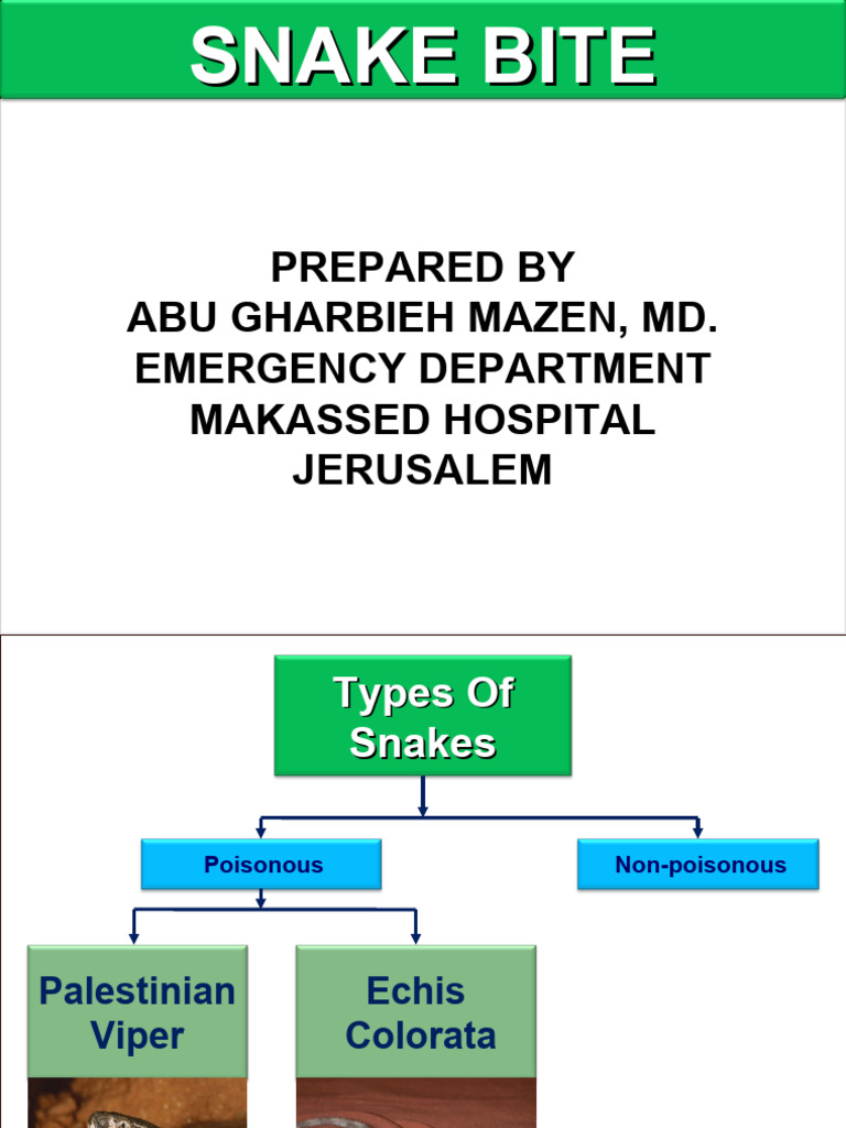 Snake Bite | PDF | Snake | Clinical Medicine