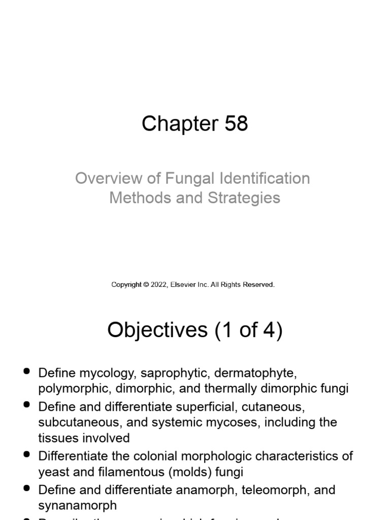 Fungal Identification Methods Overview | PDF | Fungus | Infection