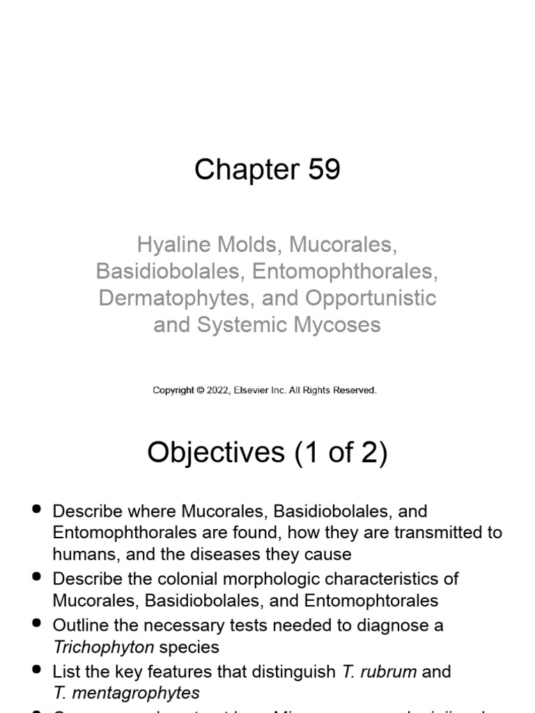 Chapter 59 Hyaline Molds | PDF