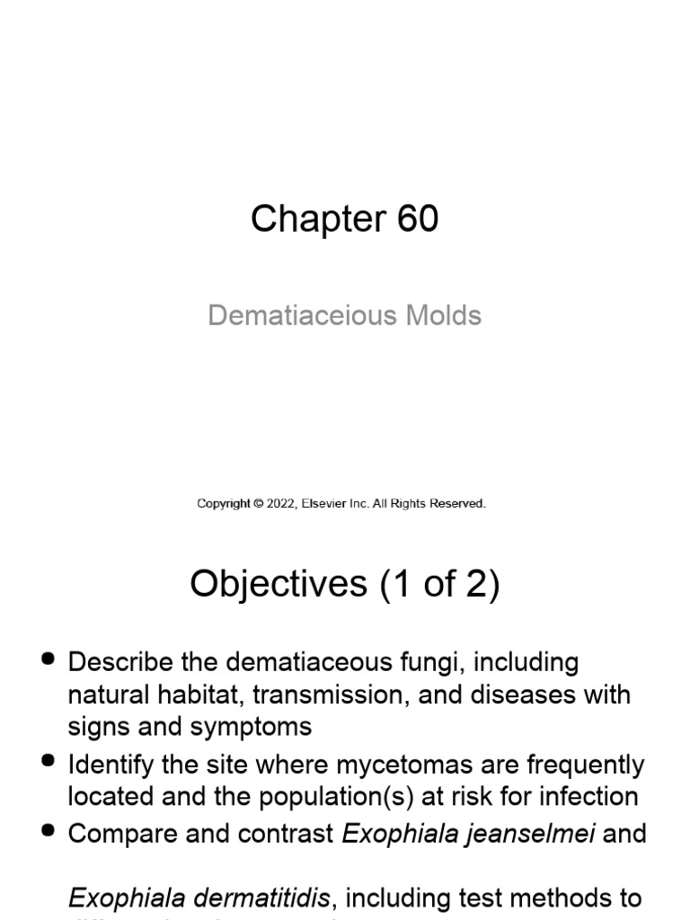 Chapter 60 Dematiaceous Molds | PDF | Infection | Fungus