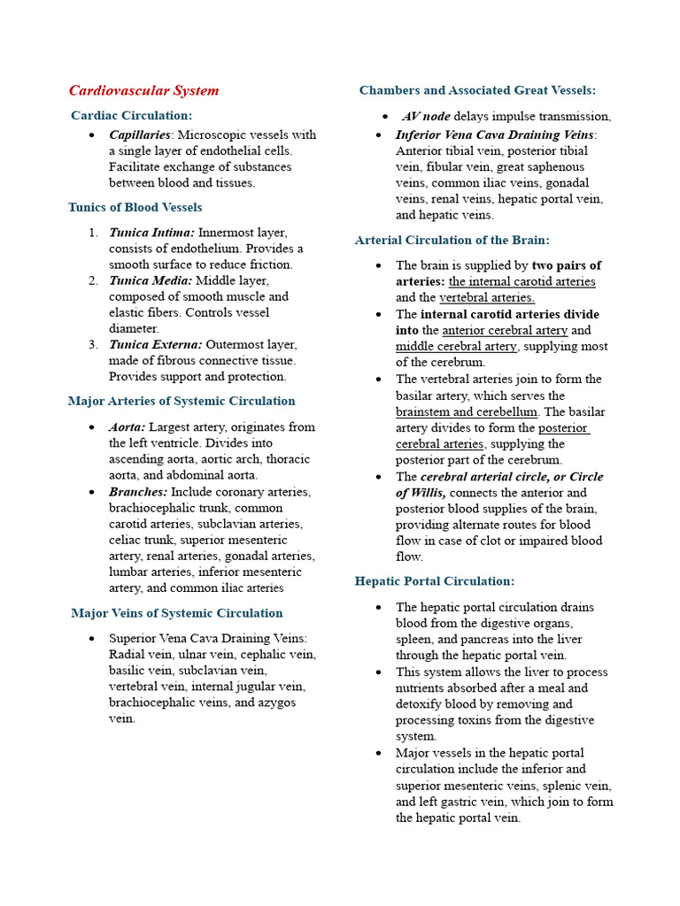 Albao Cs Notes | PDF | Heart | Vein