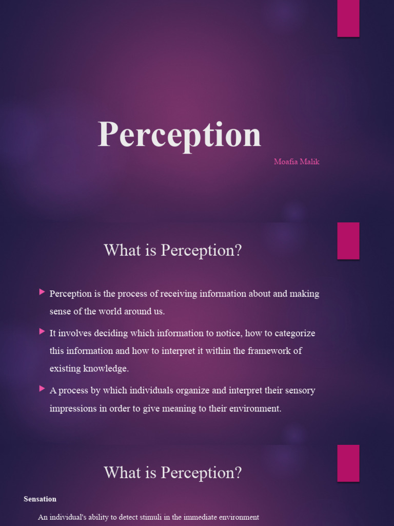 Perception | PDF