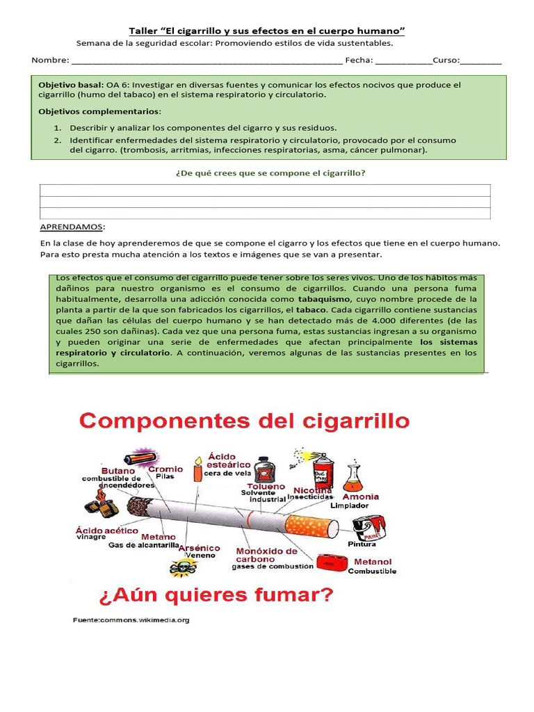Taller Componentes Cigarro y Su Consumo | PDF | Cigarrillo | Artería
