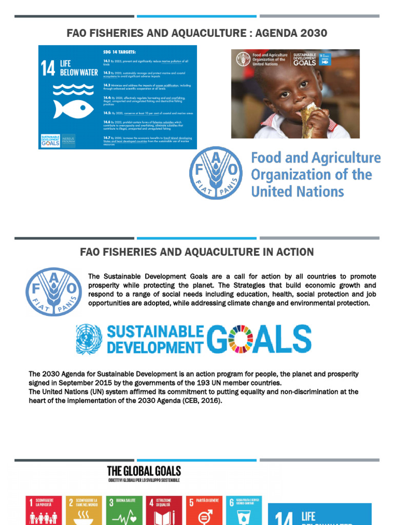 Agenda 2030 SDG | PDF | Sustainability | Food And Agriculture Organization