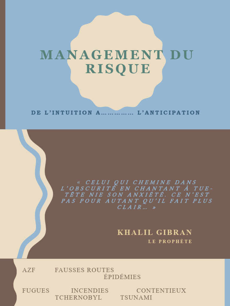 Management Des Risques | PDF | Risque | Gestion des risques