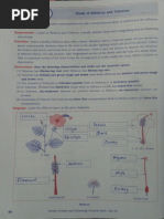12 Field Guide - Philippine Beach Forest Species | PDF | Plants | Botany