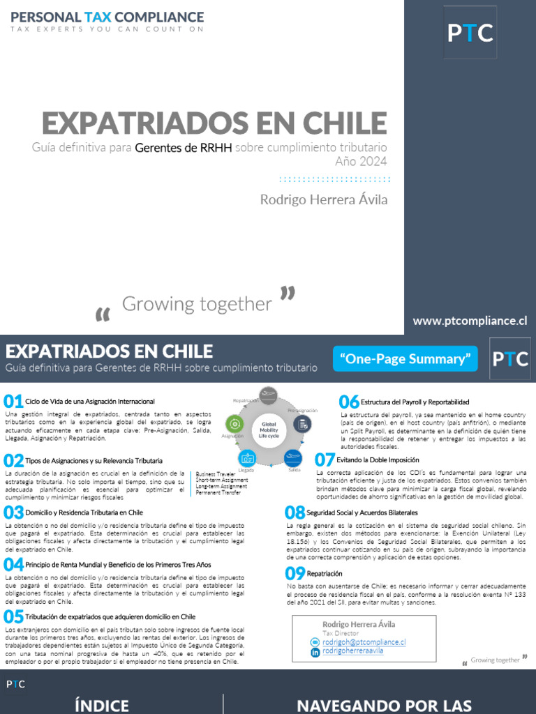 TAX Guide - EXPATRIADOS EN CHILE 2024 | PDF | Impuestos | Chile