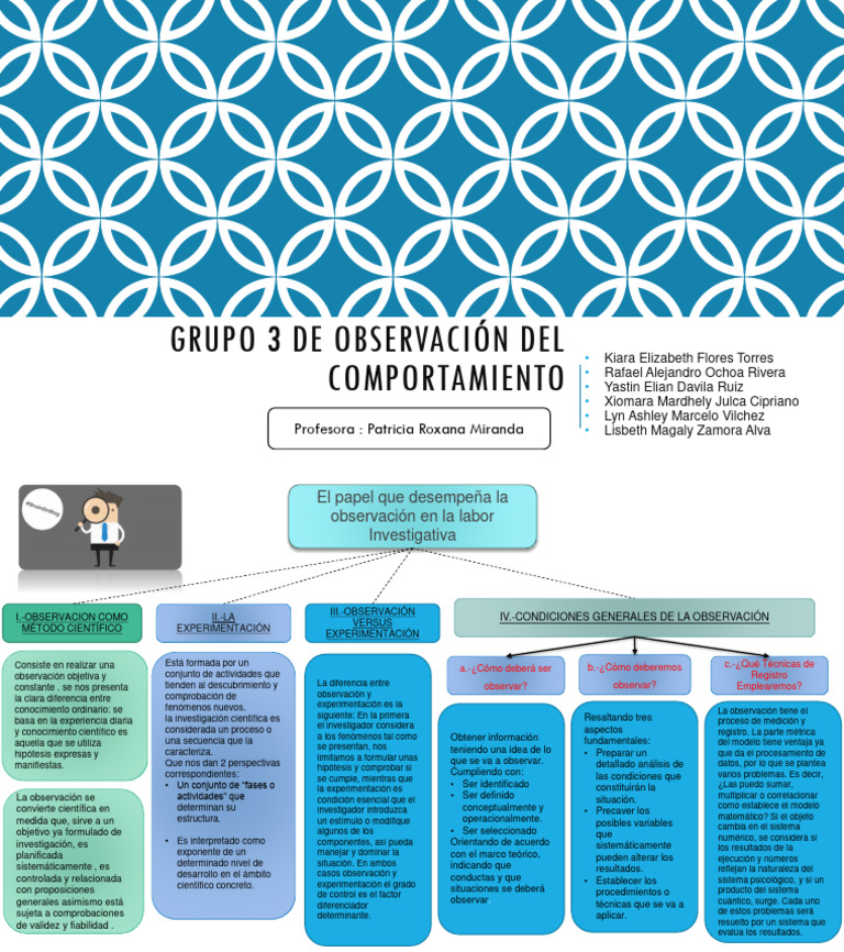 De Observación Del Comportamiento | PDF