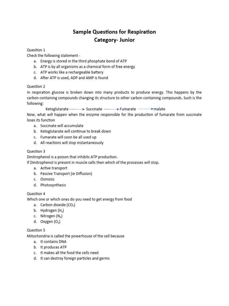 Sample Questions For Respiration Junior | PDF | Cellular Respiration ...