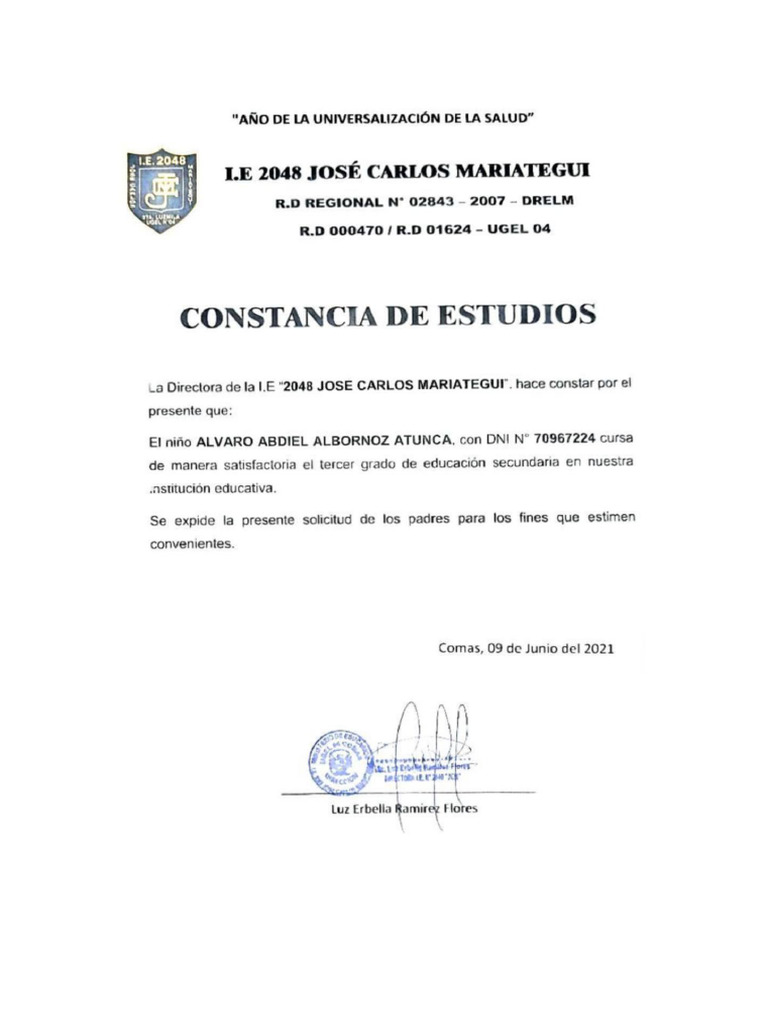 Constancia | PDF