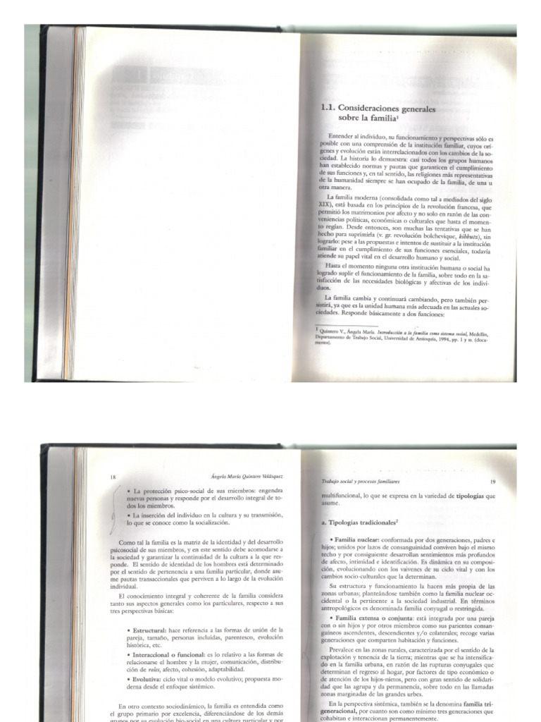Ángela María Quintero Tipología Familiar | PDF