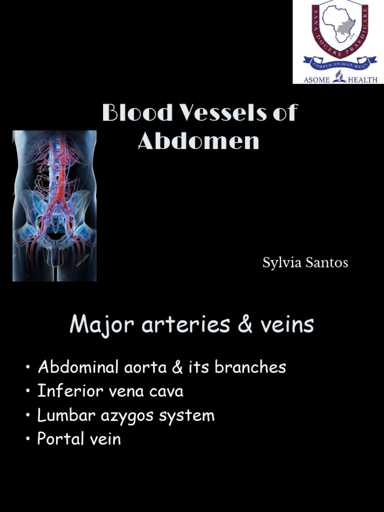 13b.blood Vessels of Abdomen | PDF | Aorta | Vein