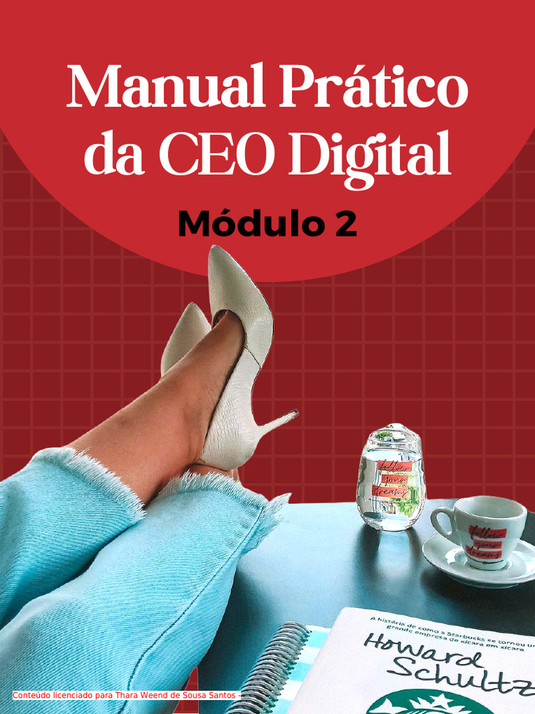 CEO Manual 2 | PDF