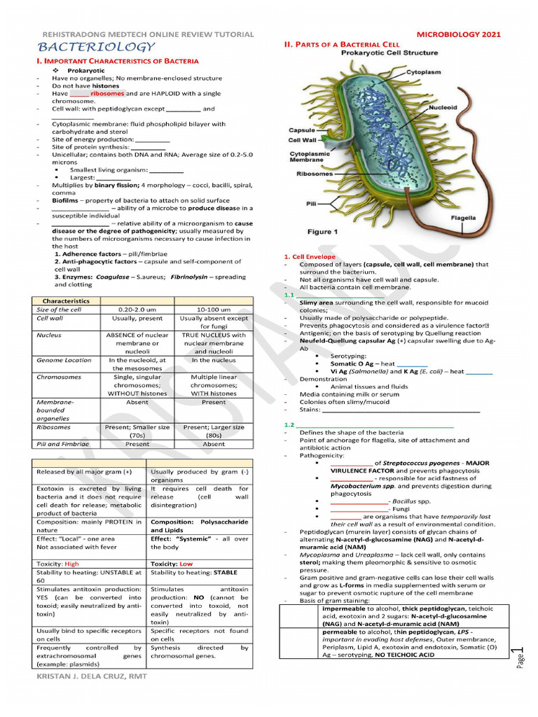 Micro Lecture Sir Kristan | PDF