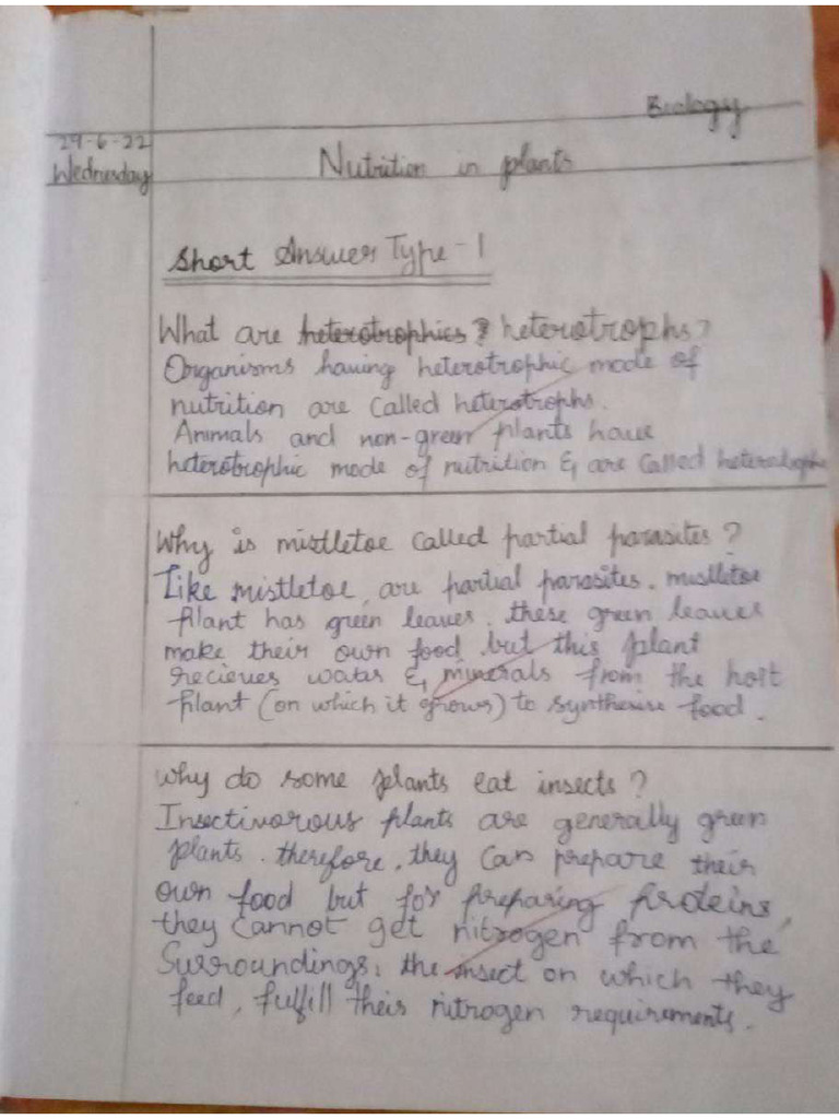 Science Class VII Term 1 Notes | PDF