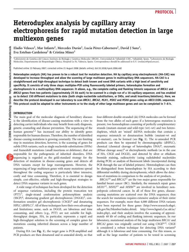 Heteroduplex Analysis for Mutation Detection | PDF | Polymerase Chain ...