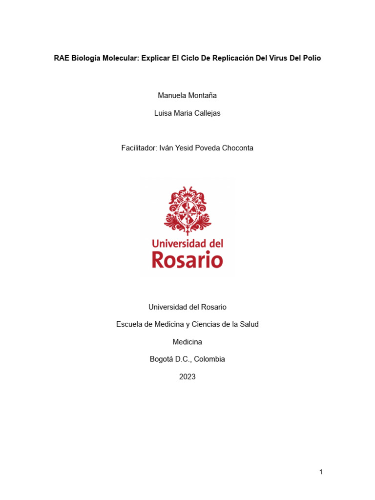 Rae BM 2 | PDF | Science & Mathematics