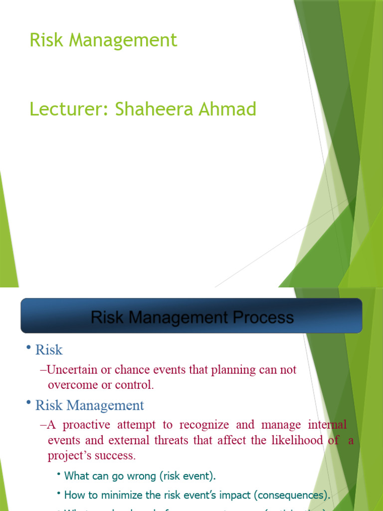 Managing Risk | PDF