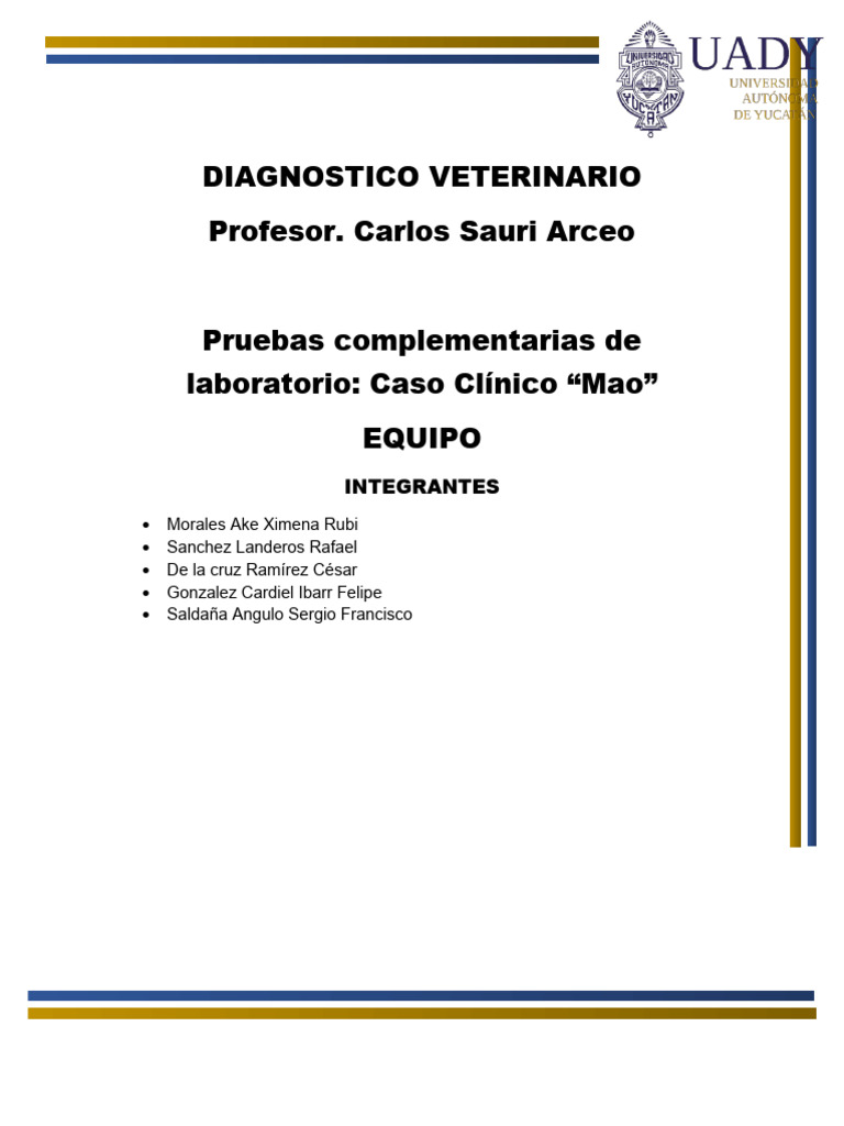 Pruebas Complementarias 2024-03-04 05-29-42 | PDF