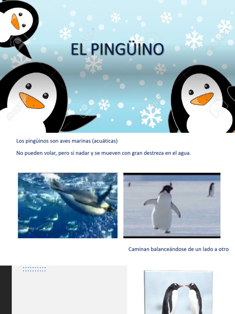 El Pinguino | PDF