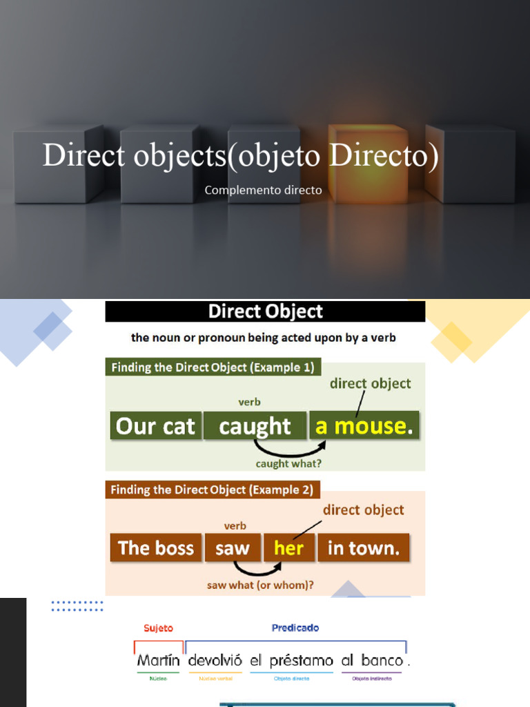Direct Objects Indirect Objects | PDF