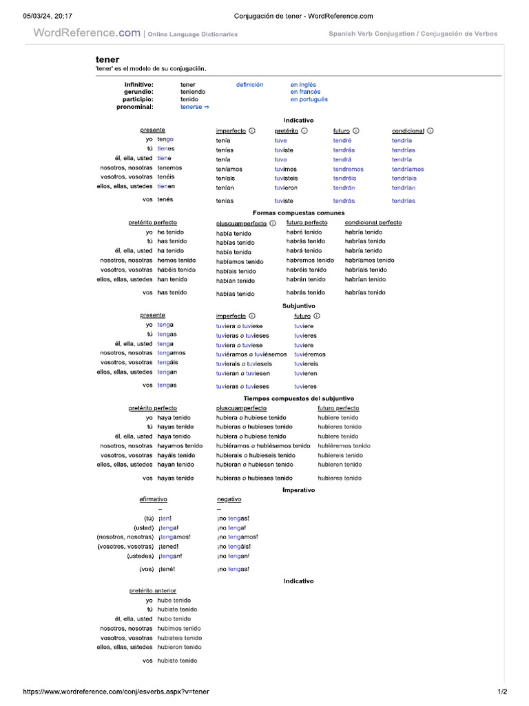 El Verbo Tener | PDF