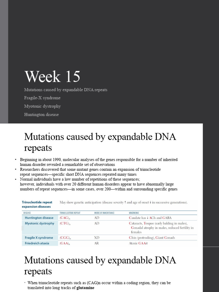 Week 15 - Trinucleotide Repeat | PDF | Gene | Genetics