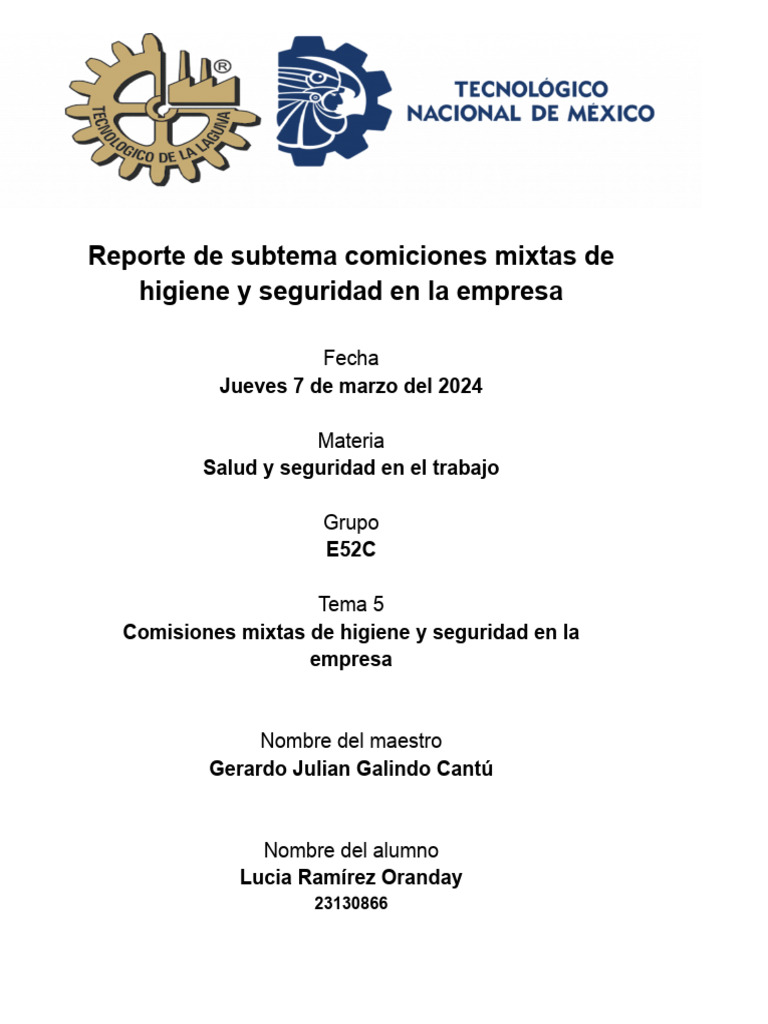 Reporte 7 SST | PDF