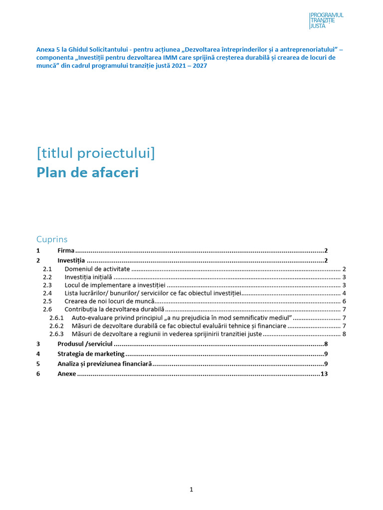 Anexa 5 Model Plan de Afaceri | PDF