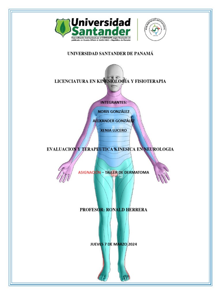 Dermatomas | PDF | Nervio | Pie