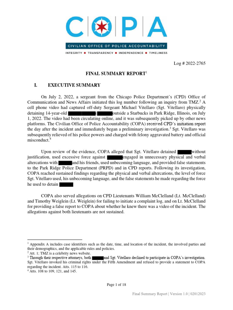 Michael Vitellaro COPA Report | PDF