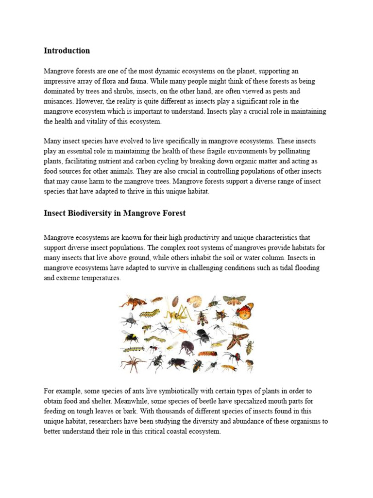 Forest Entomology Assignment | PDF | Mangrove | Ecosystem
