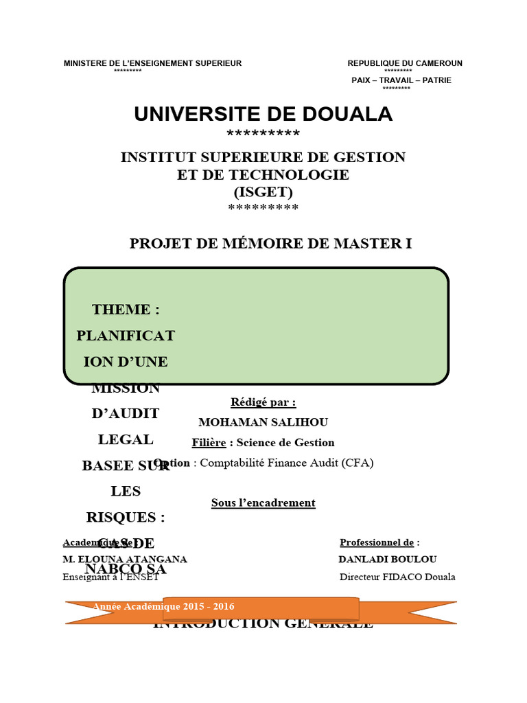Projet de Memoire Master | PDF