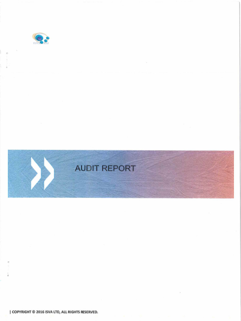 Rapport de L'audit de Sécurité 2015 Du Système D'information | PDF