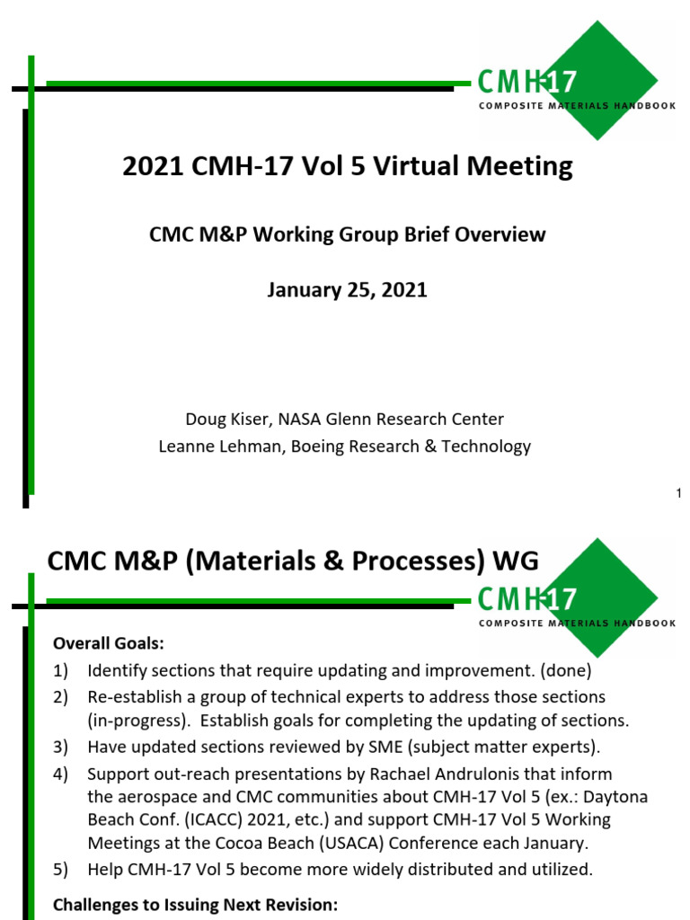 2021 Jan. 25 CMH 17 Virtual Meeting MP Brief Outline | PDF