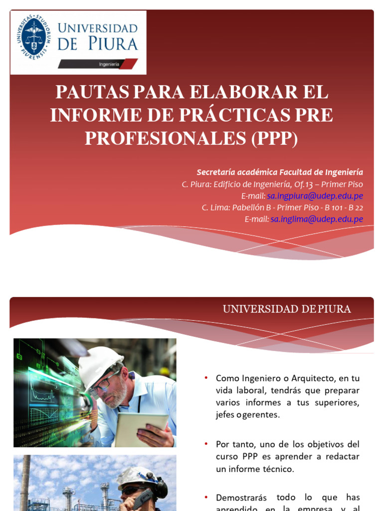 Pautas para Elaborar El Informe PPP | PDF | Business