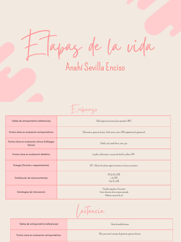 Etapas de La Vida | PDF | El embarazo | Alimentos